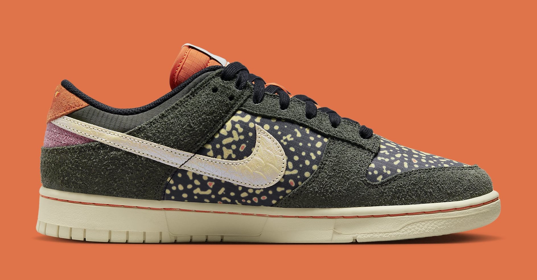 This Rainbow Trout-Inspired Nike Dunk Arriving on SNKRS.